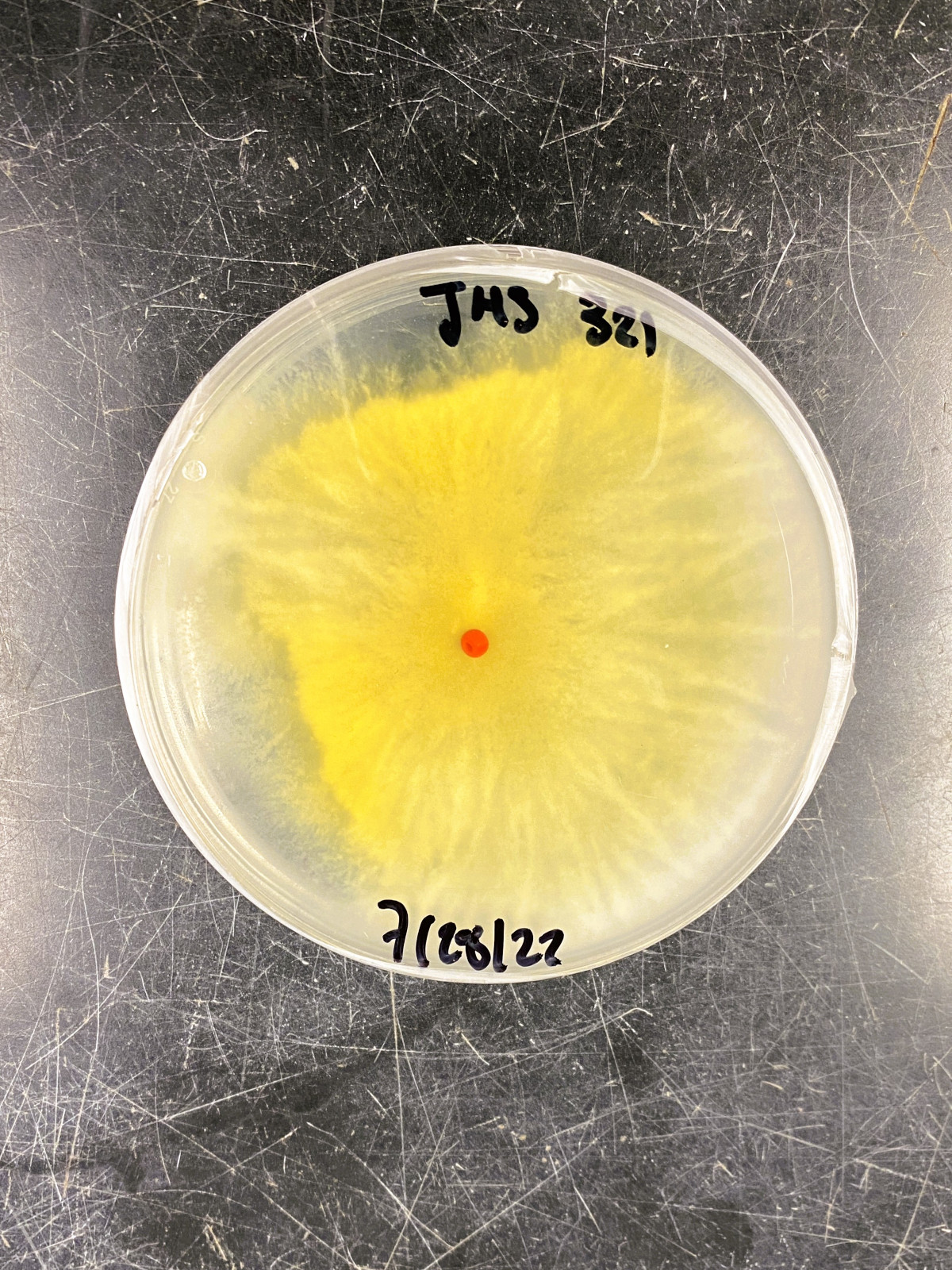 BAlive microbial - iQB Agrosciences